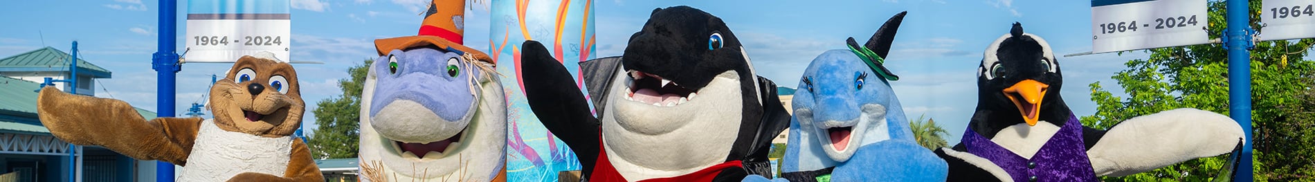Shamu and Crew Spooktacular Breakfast | Dining | SeaWorld Orlando Shamu and Crew Spooktacular Breakfast | Dining | SeaWorld Orlando