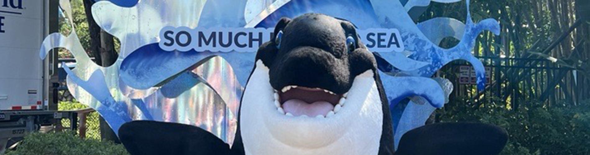 Shamu and Crew Better Together Breakfast | Dining | SeaWorld Orlando Shamu and Crew Better Together Breakfast | Dining | SeaWorld Orlando