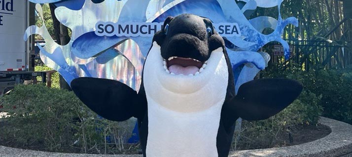 Shamu and Crew Better Together Breakfast | Dining | SeaWorld Orlando