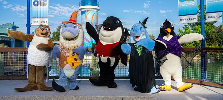 Shamu and Crew Spooktacular Breakfast | Dining | SeaWorld Orlando Shamu and Crew Spooktacular Breakfast | Dining | SeaWorld Orlando