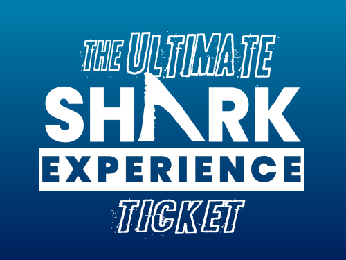 Ultimate Shark Experience | Special Offers | SeaWorld Orlando