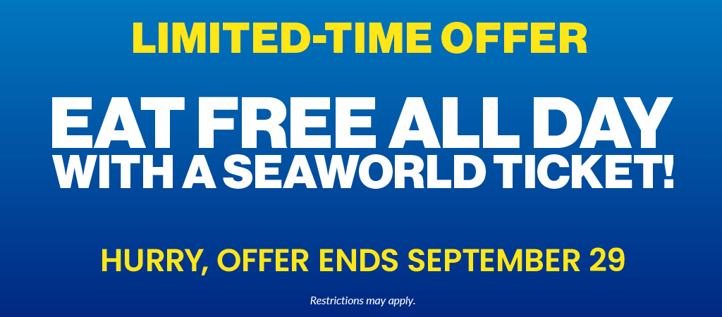 SeaWorld Tickets - Florida Theme Park Tickets | SeaWorld Orlando