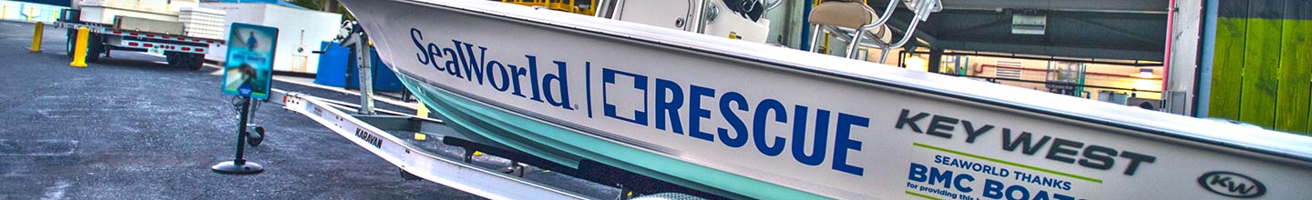 SeaWorld Rescue Experience - Feed Animals | SeaWorld Orlando