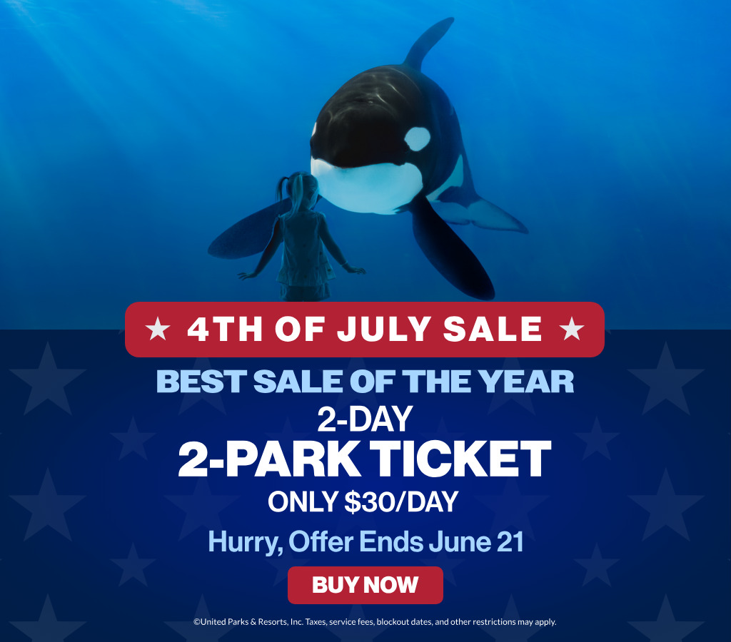 SeaWorld San Antonio | Theme Park, Zoo & Texas Animal Attractions