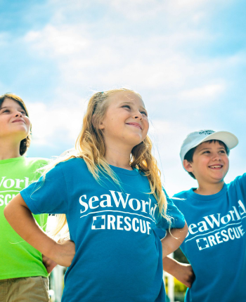 Rescue Jr. - Kids Play Area | SeaWorld San Antonio