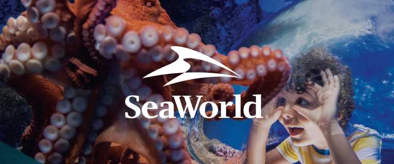 Connected to Guest WiFi | SeaWorld San Antonio