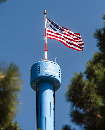 SeaWorld San Diego Theme Park - Aquarium, Zoo & Theme Park in California