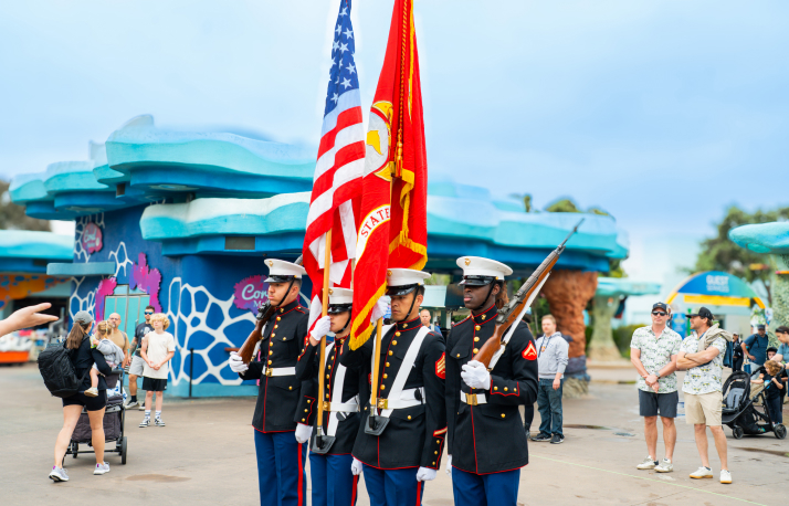 Military Appreciation Weekend | Events | SeaWorld San Diego