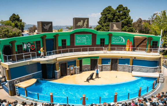 Sea Lion And Otter Spotlight Seaworld San Diego